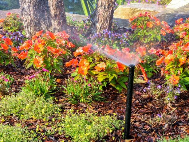Waxhaw Irrigation Sprinklers Spring Tune Up